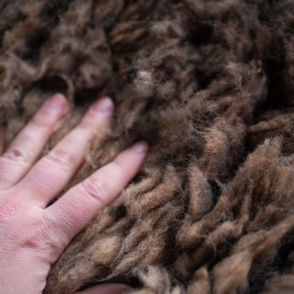 Sheepskins & Goat Hides │ Apple Creek Farm